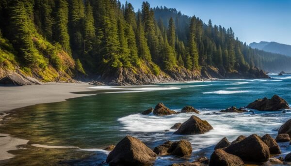 Exploring The Diverse Landscape Of California