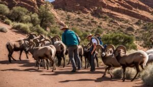 Discover Death Valley Animals: A Wild Guide