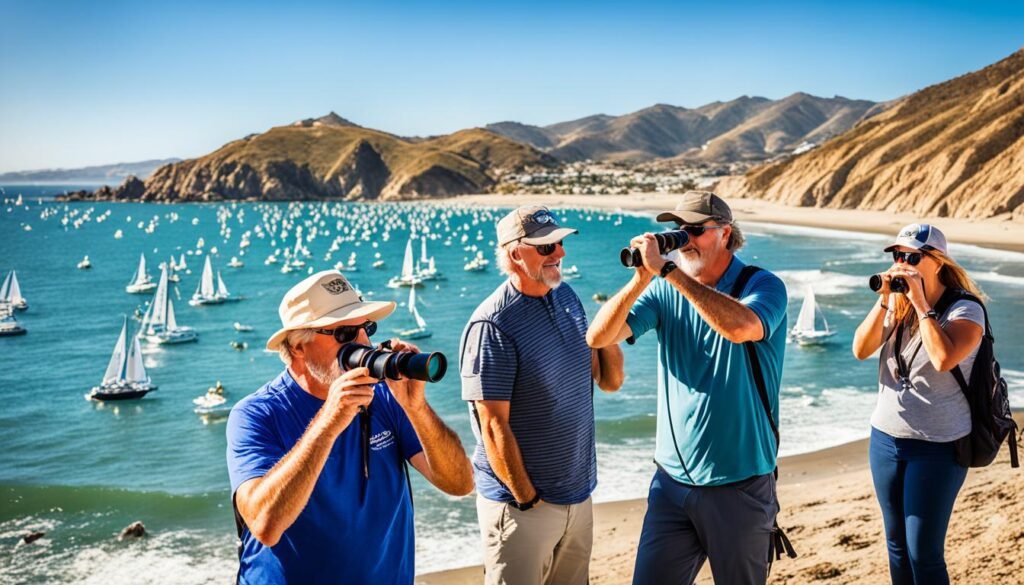 Best Wildlife Beaches in California: Top 10 Picks Revealed